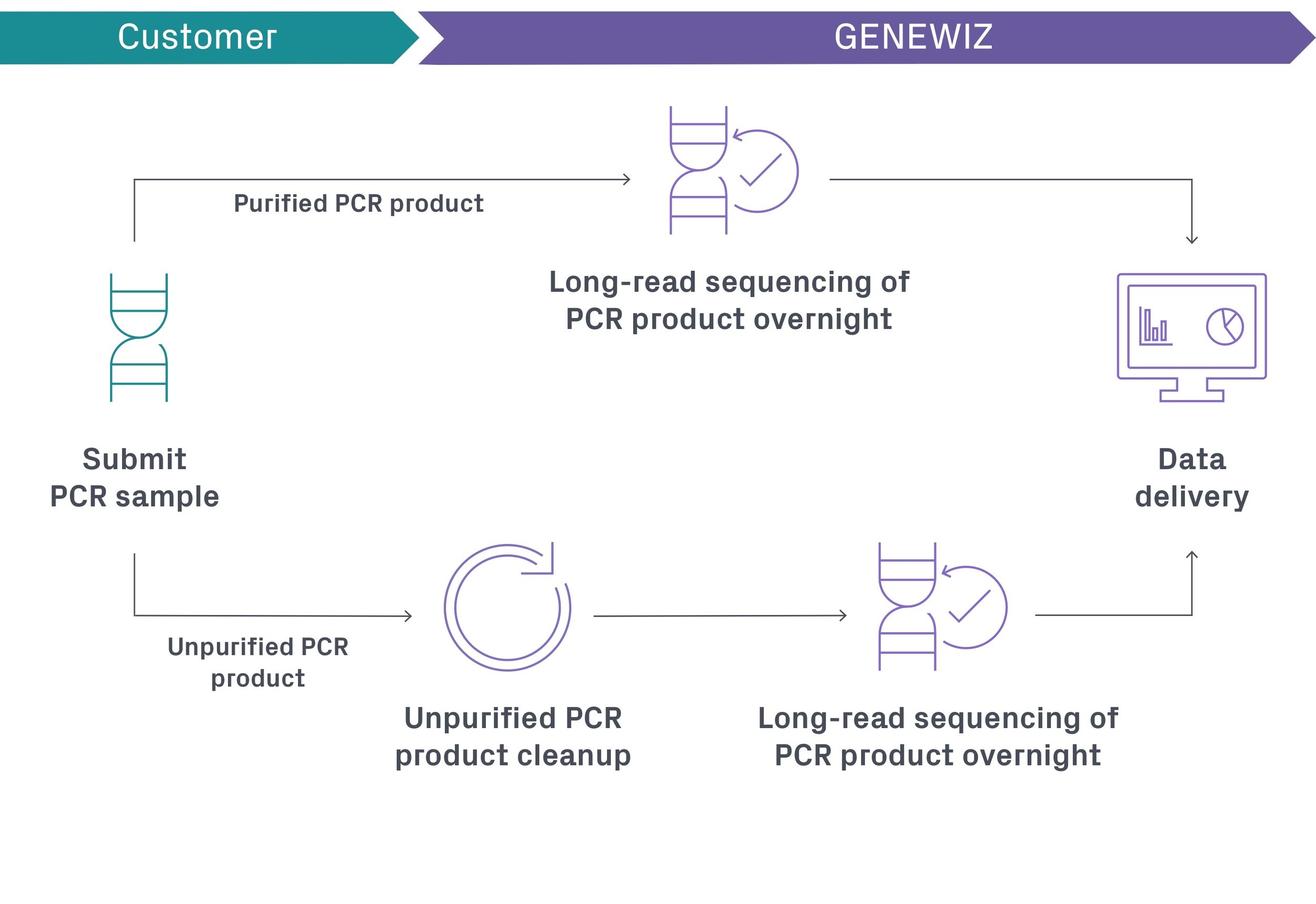 PCR-EZ | GENEWIZ from Azenta