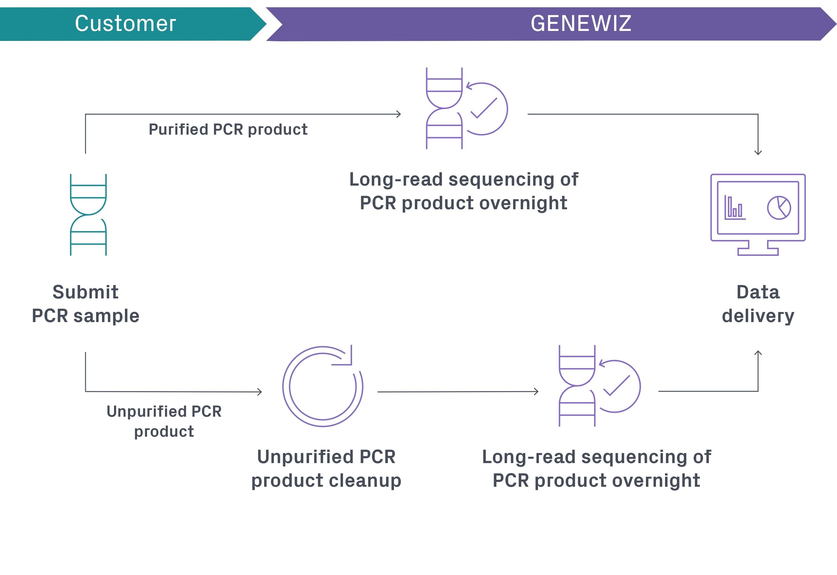 PCR-EZ | GENEWIZ from Azenta