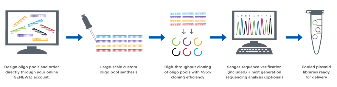 Oligo Pools with High-Throughput Cloning | GENEWIZ